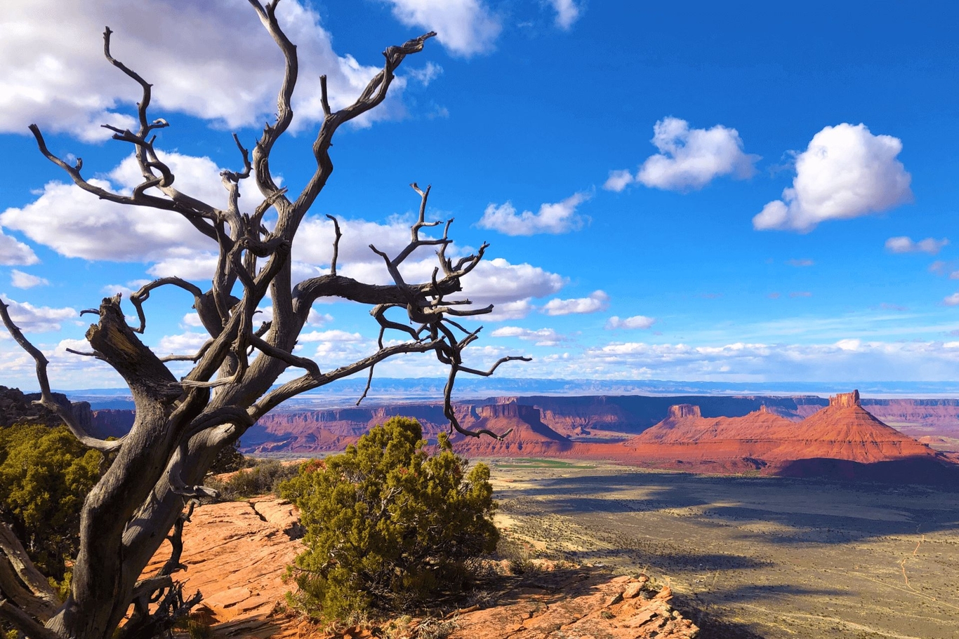 Gallery > The Whole Enchilada | MTB Trails - Moab Bike Shuttle | Moab, Utah