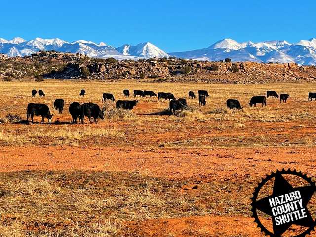 Gallery > Moab Brands / Bar-M | MTB Trails - Moab Bike Shuttle | Moab, Utah