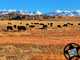 Gallery > Moab Brands / Bar-M | MTB Trails - Moab Bike Shuttle | Moab, Utah