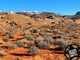 Gallery > Moab Brands / Bar-M | MTB Trails - Moab Bike Shuttle | Moab, Utah