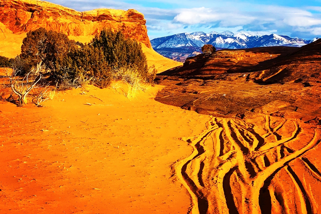 Gallery > Slickrock | MTB Trails - Moab Bike Shuttle | Moab, Utah